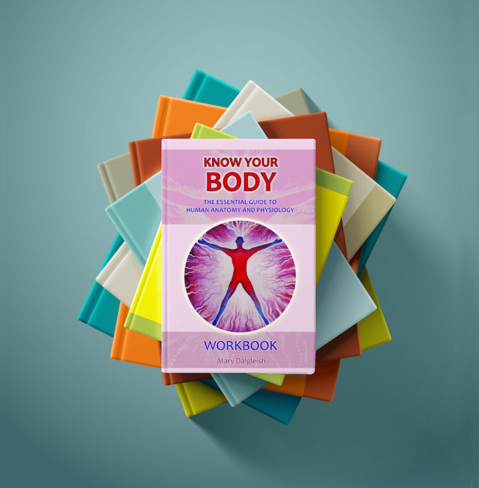 Anatomy and Physiology | The companion website to the book Know Your Body